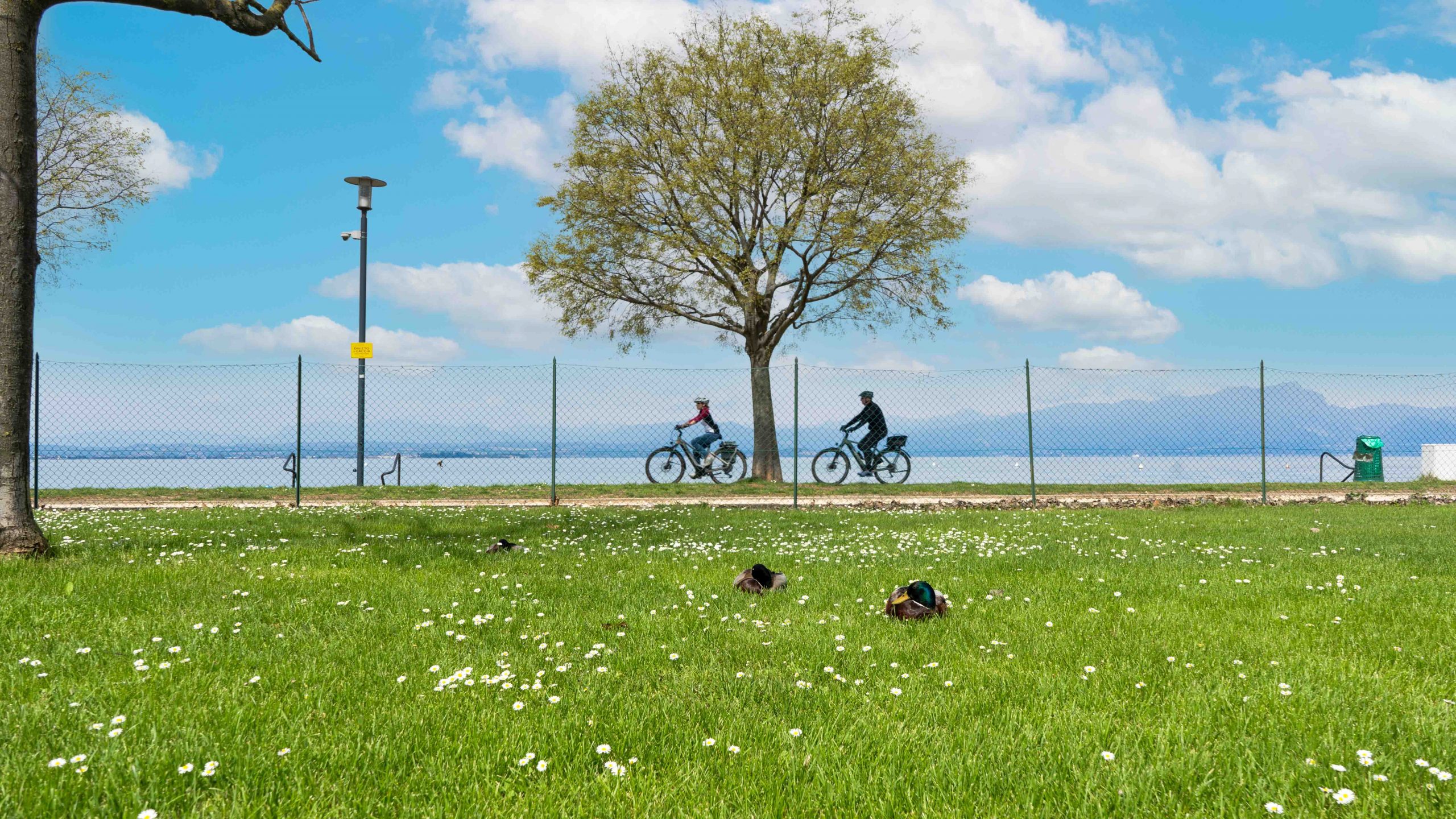 Our services - Baia Holiday Gasparina