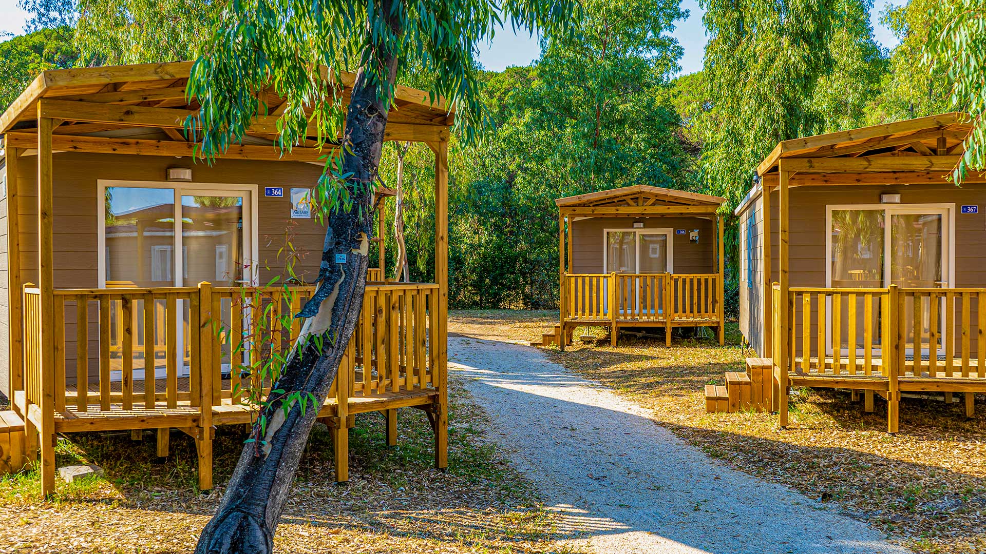 Baia Relax New - Roma Capitol