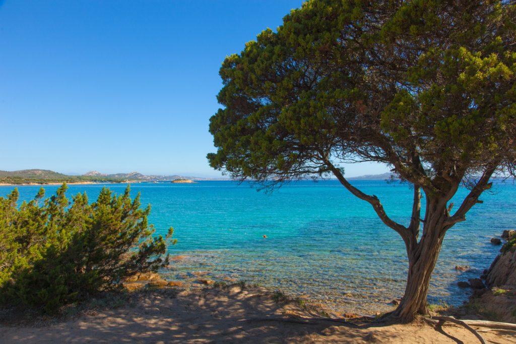 Centro Vacanze Isuledda | Isuledda Camping | Baia Holiday